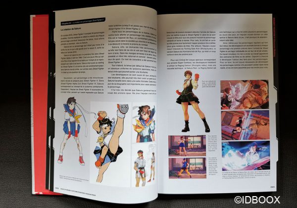 How To Make Capcom Fighting Characters - Un livre qui a du punch et du ...